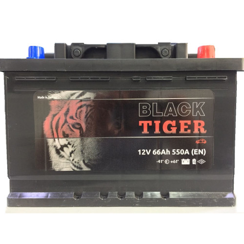 Black Tiger Battery 55AH SMF5552016L